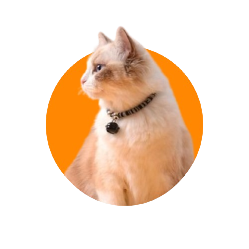 Kits – Meimo